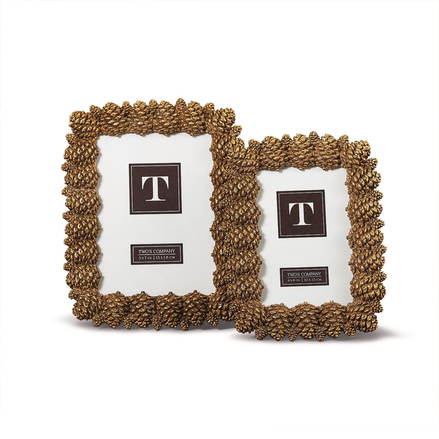 Pinecones S/2 Photo Frames Incl 2 Sizes