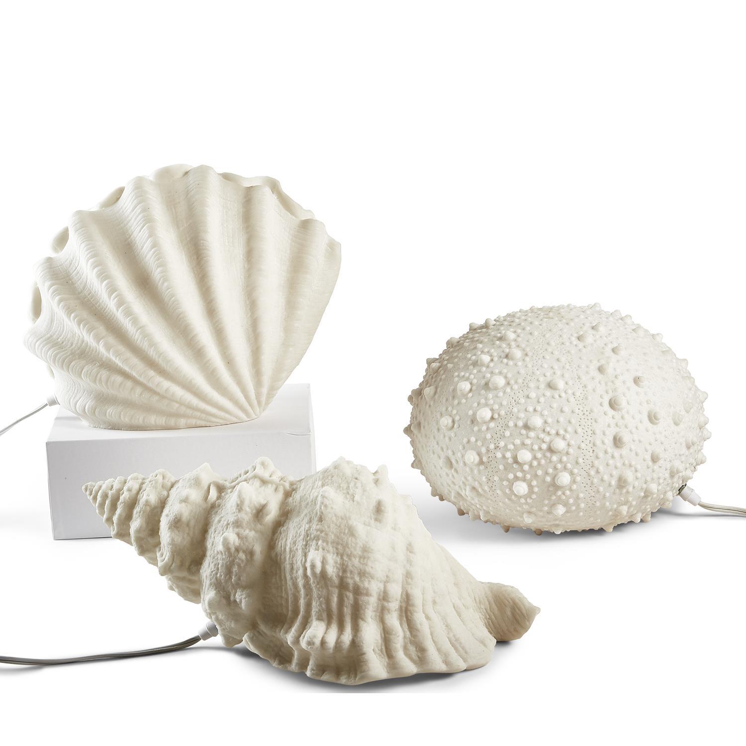 S/3 Shell Lamps Includes 3 Designs