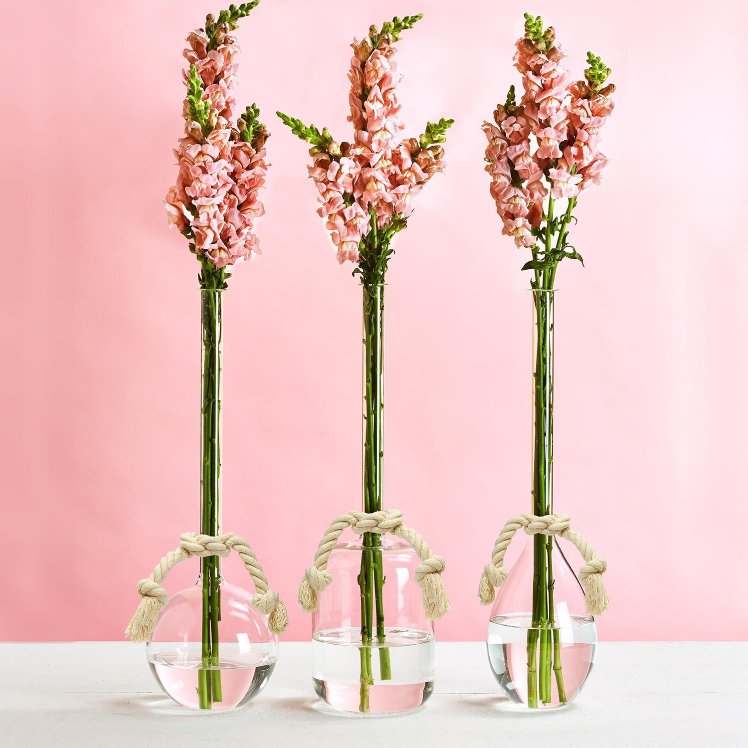 Sleek and Chic Vase Trio with Knotted Rope Tie on Set (rope tie wrapped ...