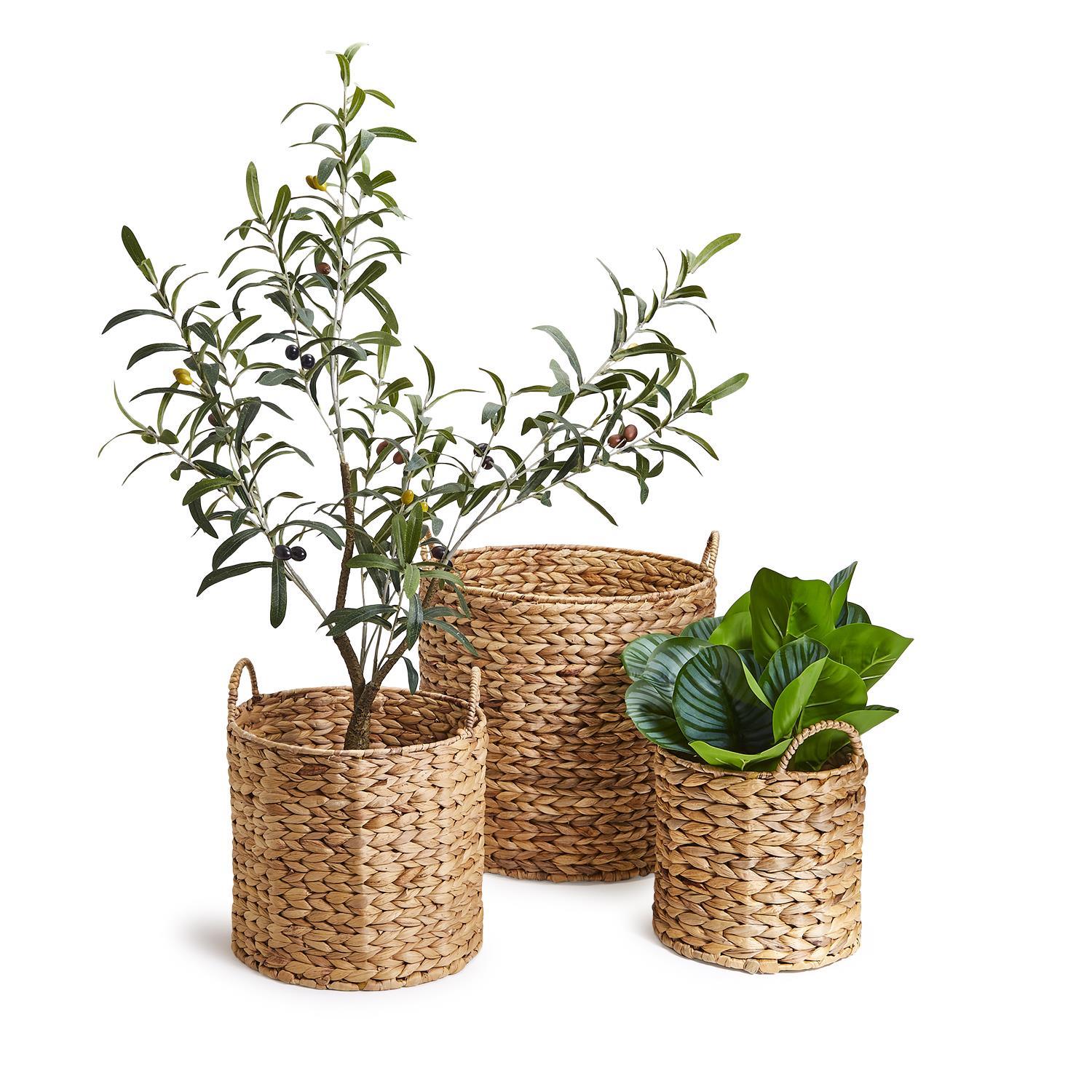 Set of 3 Fish Bone Weave Cachepot with Handles