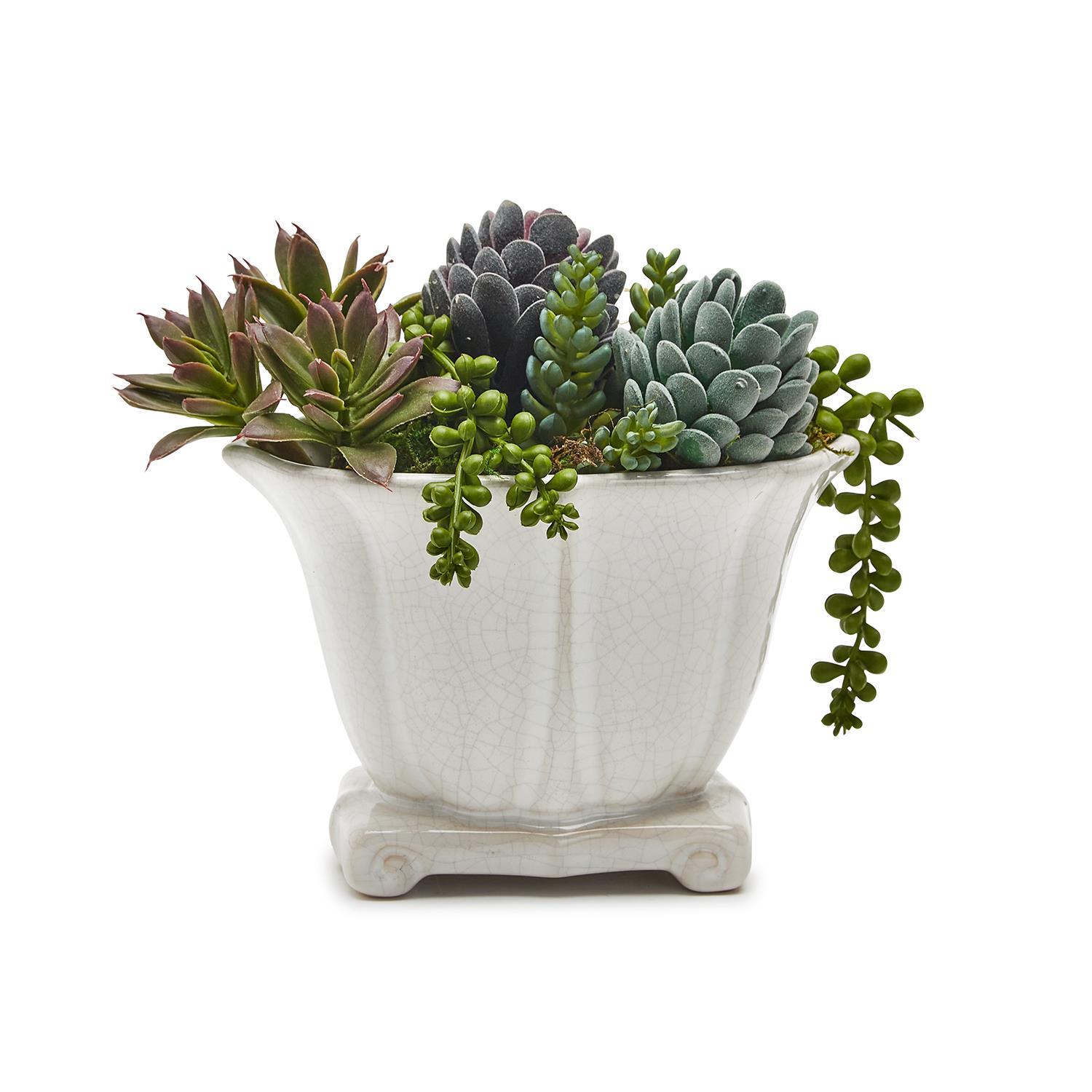 Scroll Cachepot / Planter