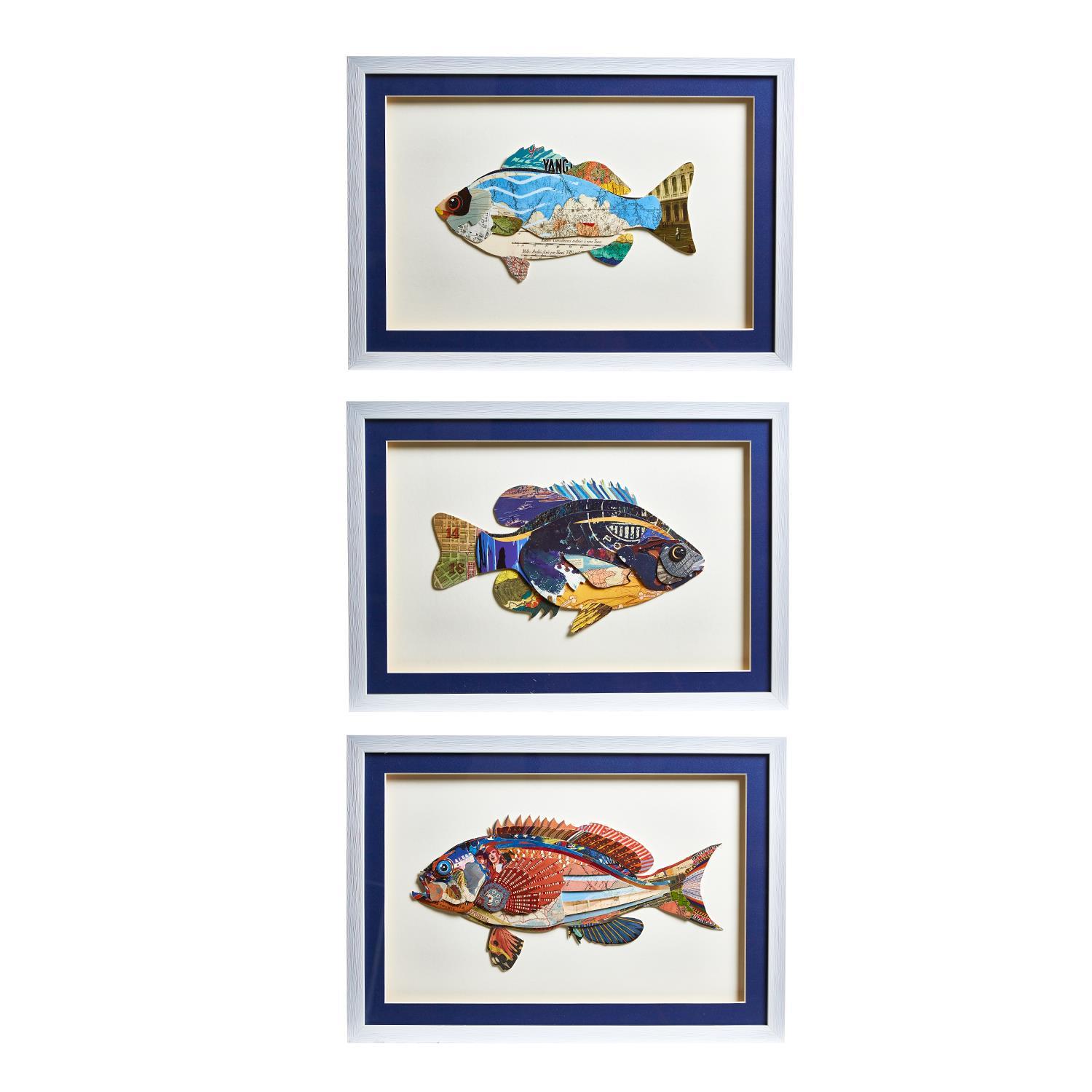 S/3 Fish Collage