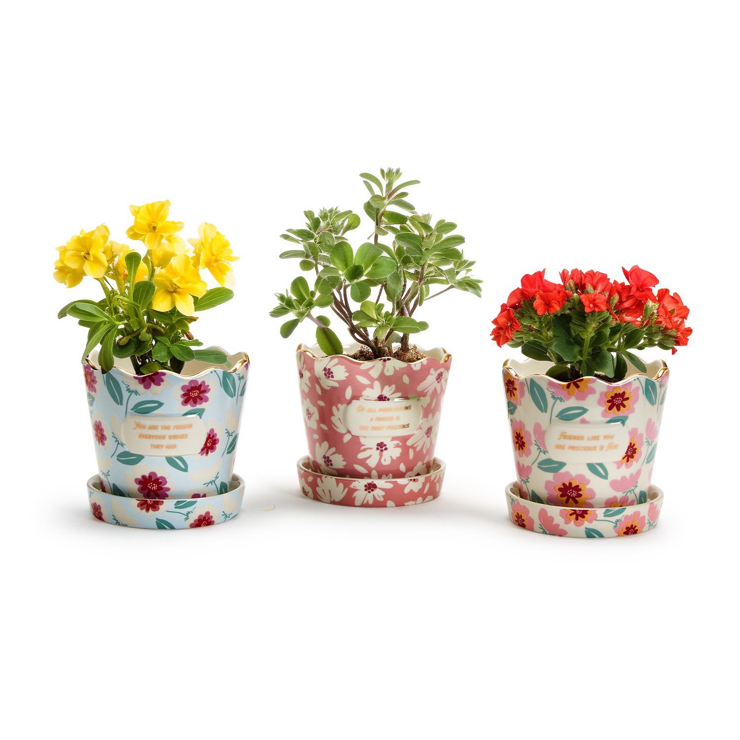 Friendship Planter A/3