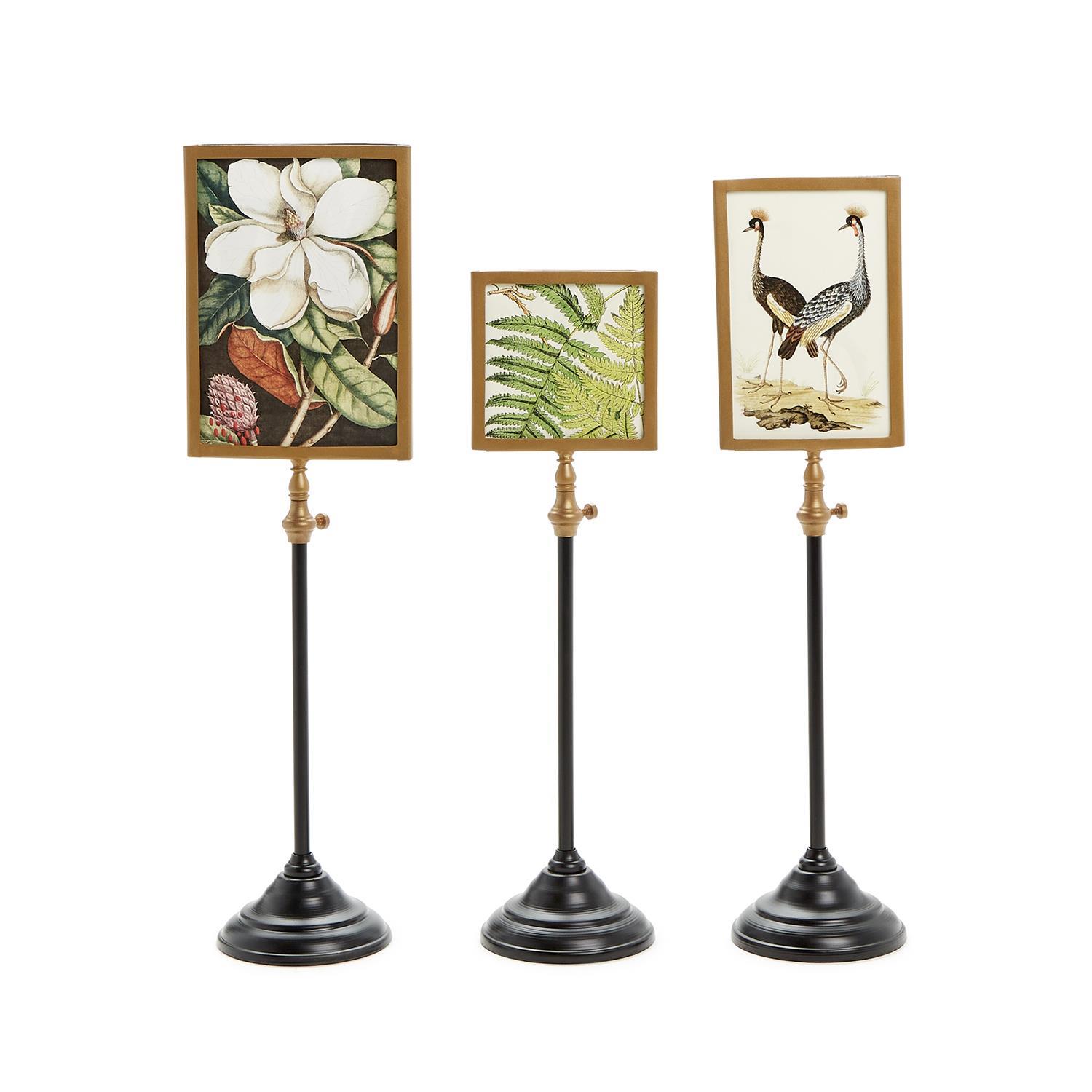 S/3 Double Sided Photo Frames on Telescoping Pole