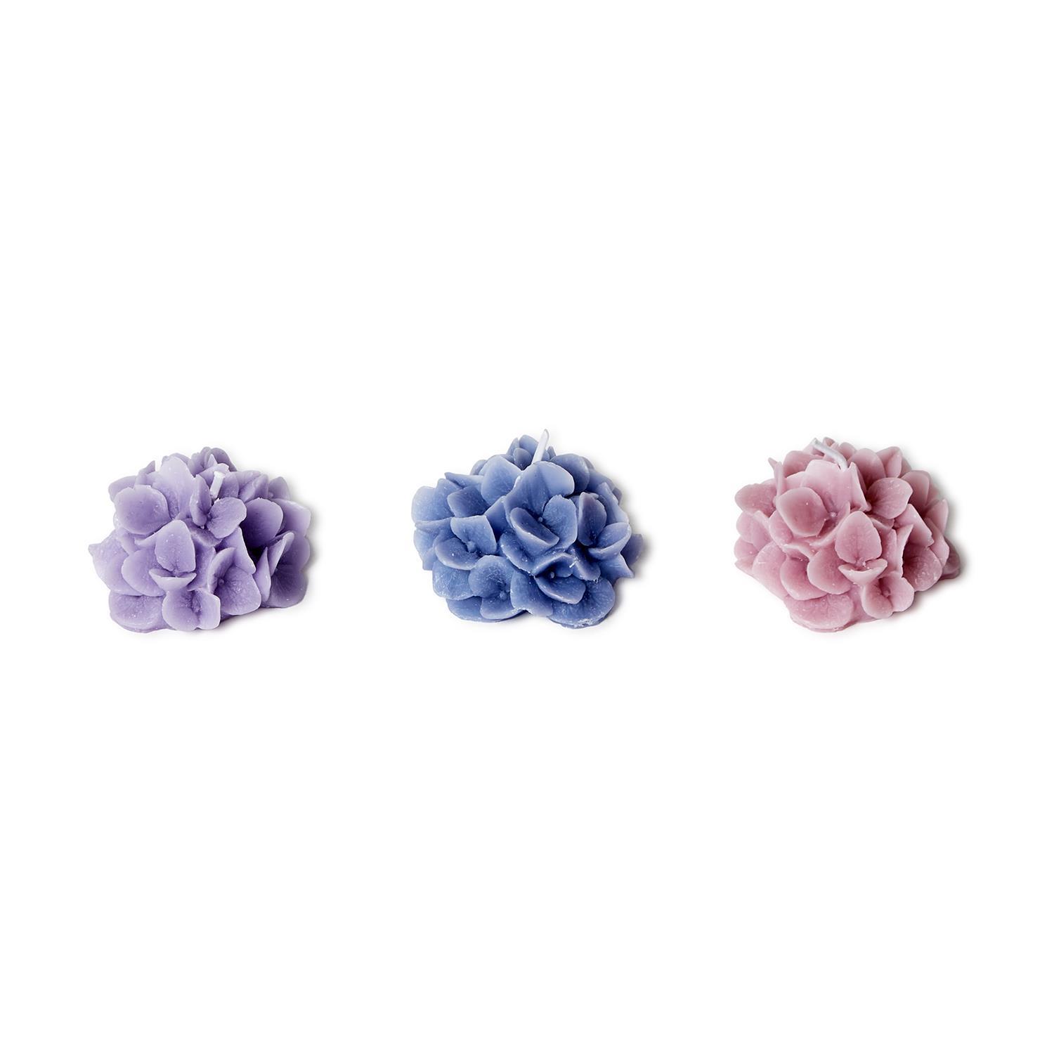 S/3 Hydrangea Floral Blooms Scented Candles in Gift Box
