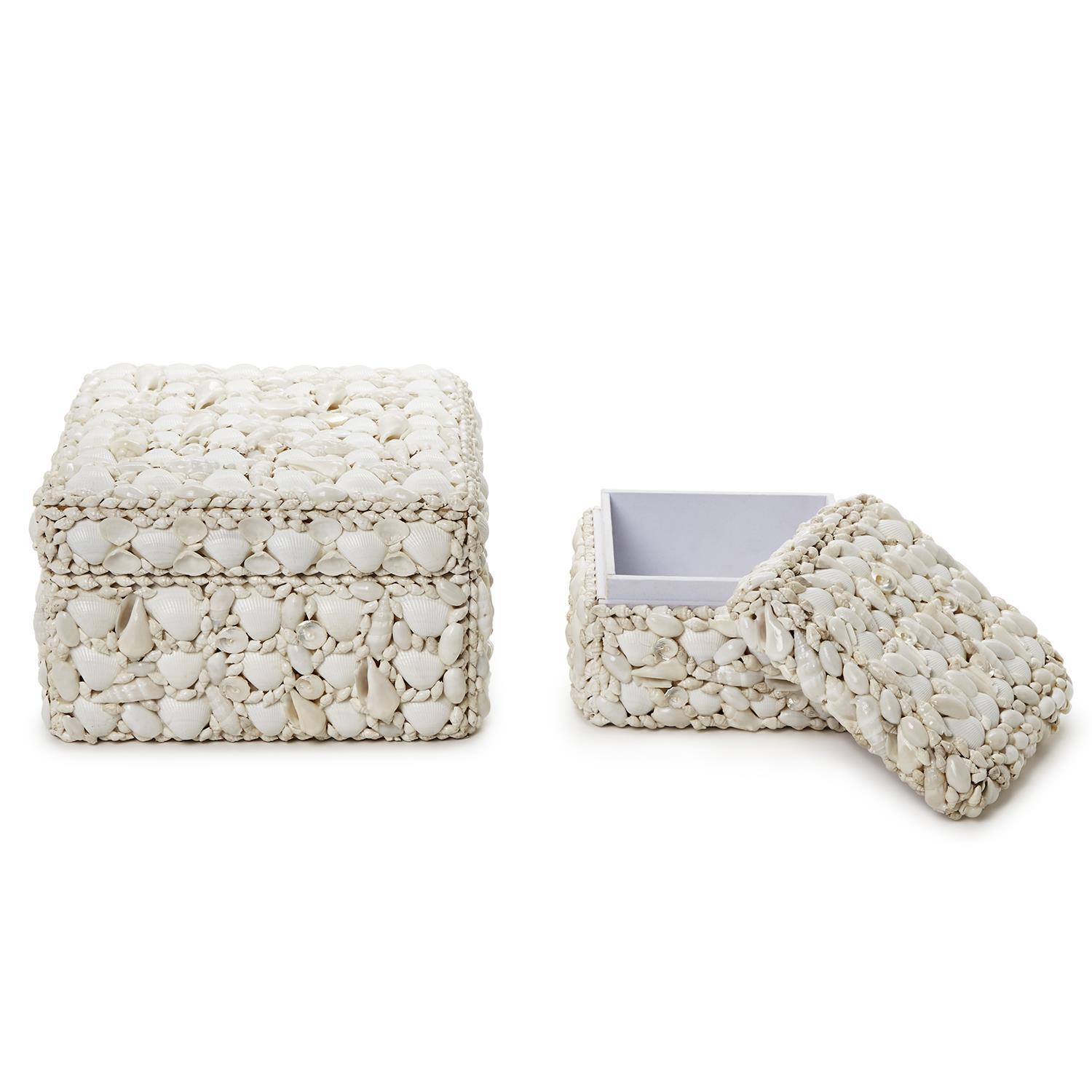 S/2 Shell Rectangle Boxes