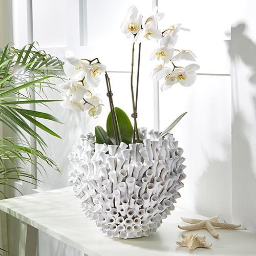 White Tube Coral Vase -Ceramic