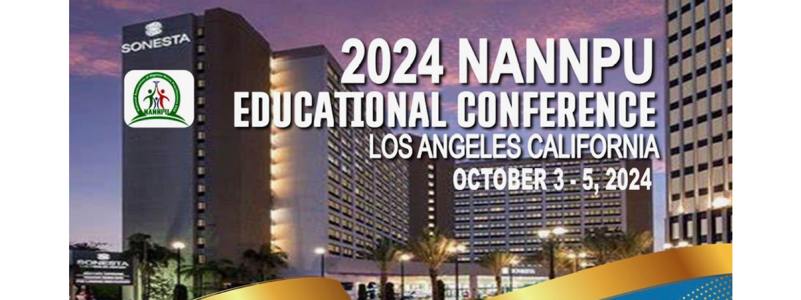 National Association of Nigerian Nurse Practitioners USA | ENP Network