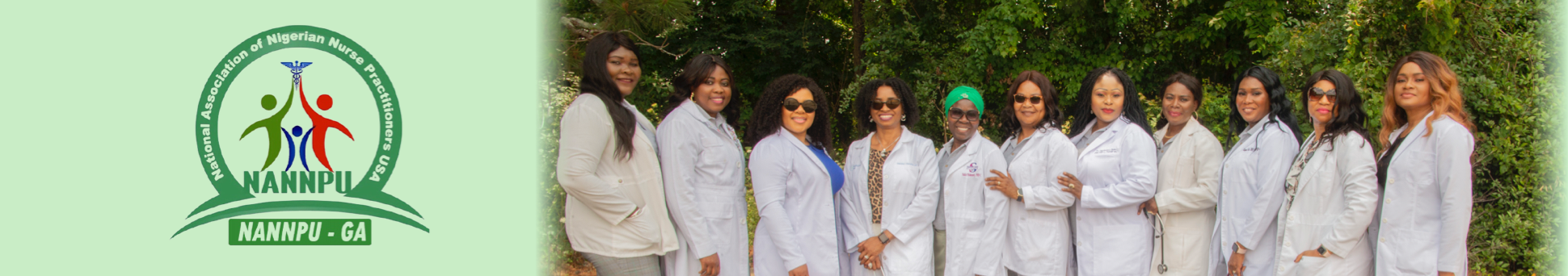 Log In To Your Account | National Association of Nigerian Nurse ...