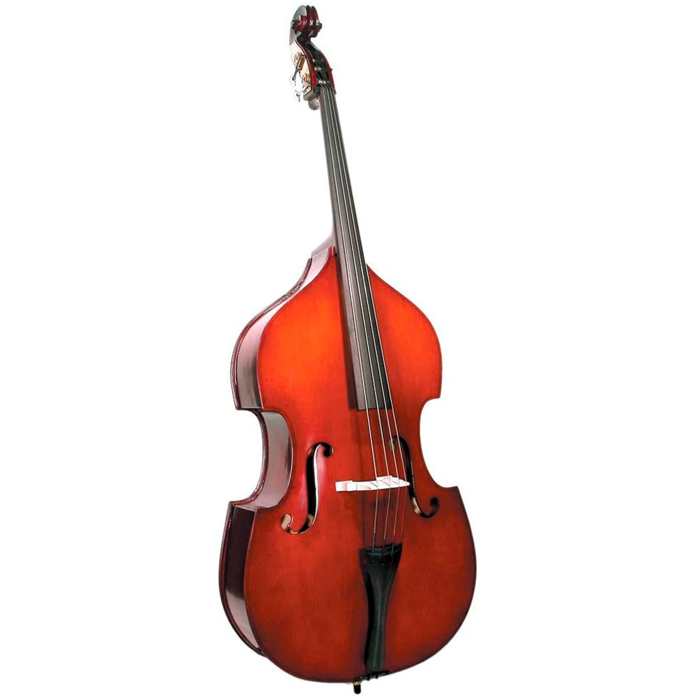 Contrabajo SB-2 1/2 | EntreKids