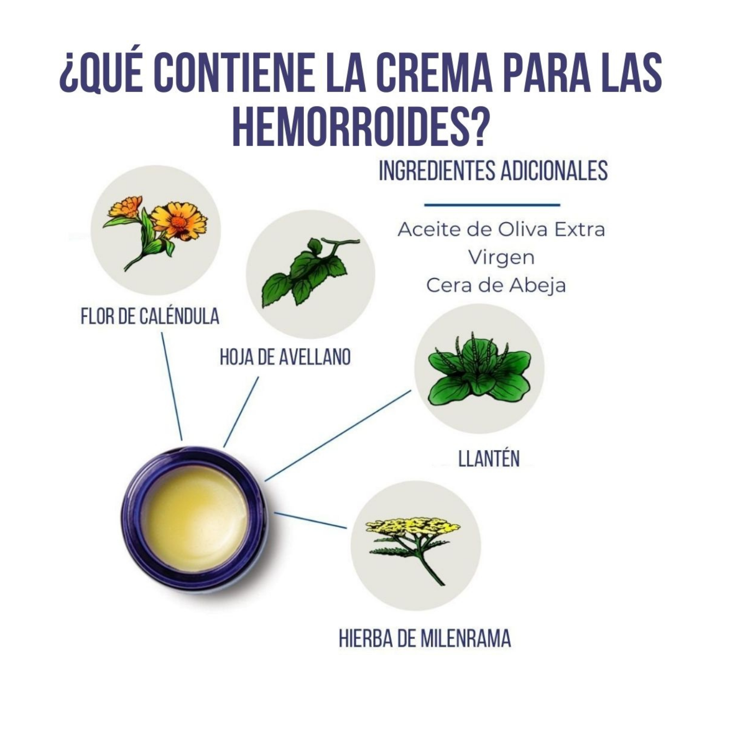 Rhoid Balm | EntreKids