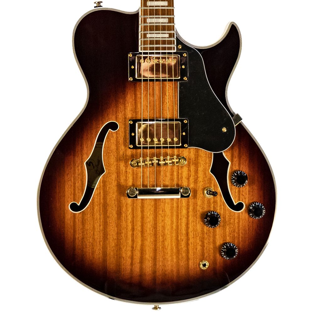 Guitarra Eléctrica Greg Bennett Royale RL-4 | EntreKids