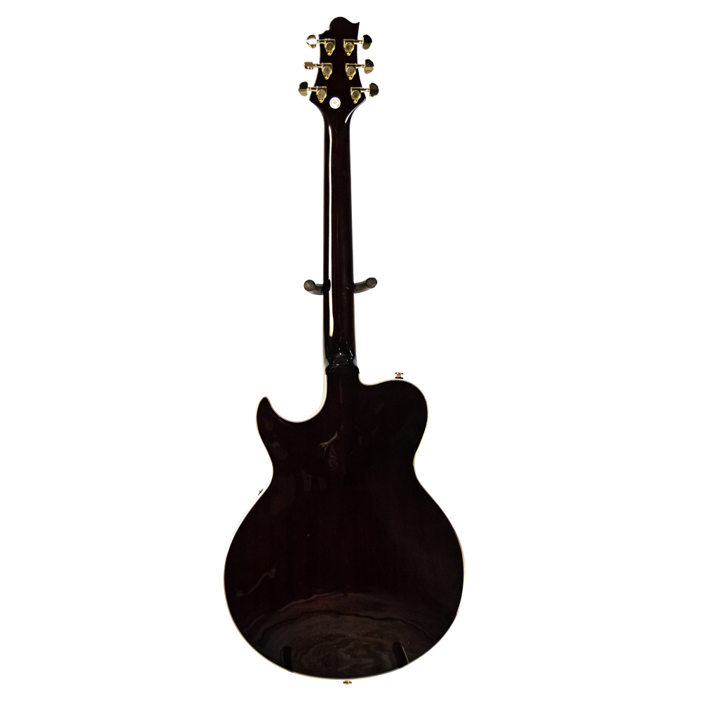 Guitarra Eléctrica Greg Bennett Royale RL-4 | EntreKids