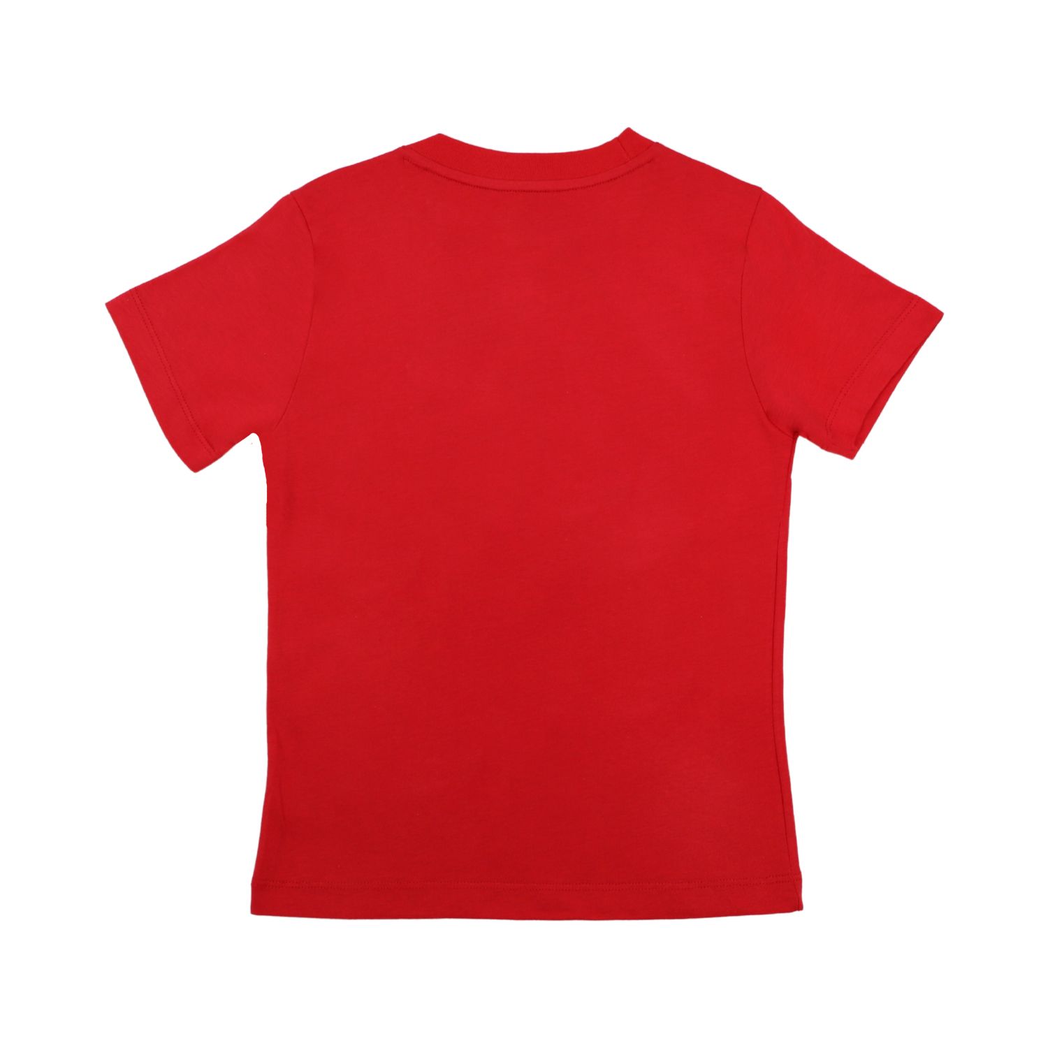 Polera Niño Flash Rayo Rojo DC Comics | EntreKids