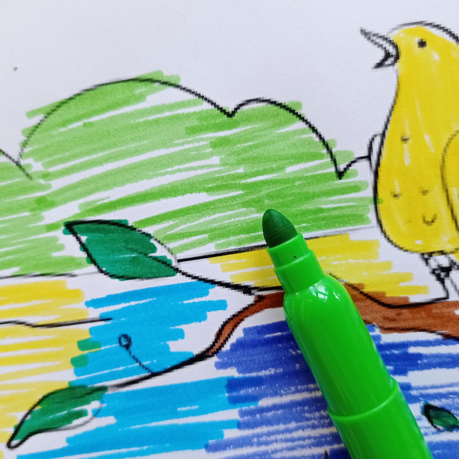 Marcadores Jumbo 12 Unidades | EntreKids