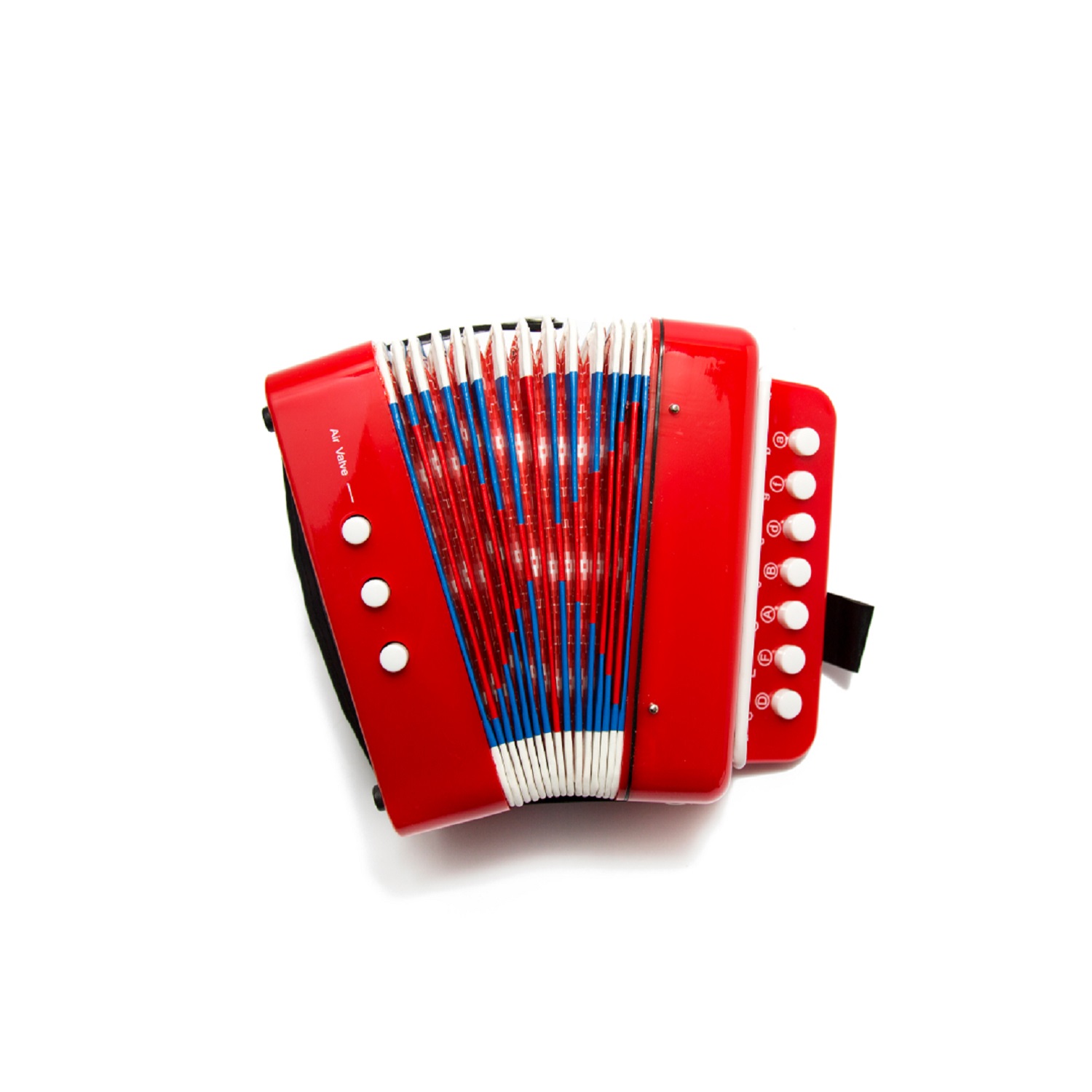 Acordeón | EntreKids