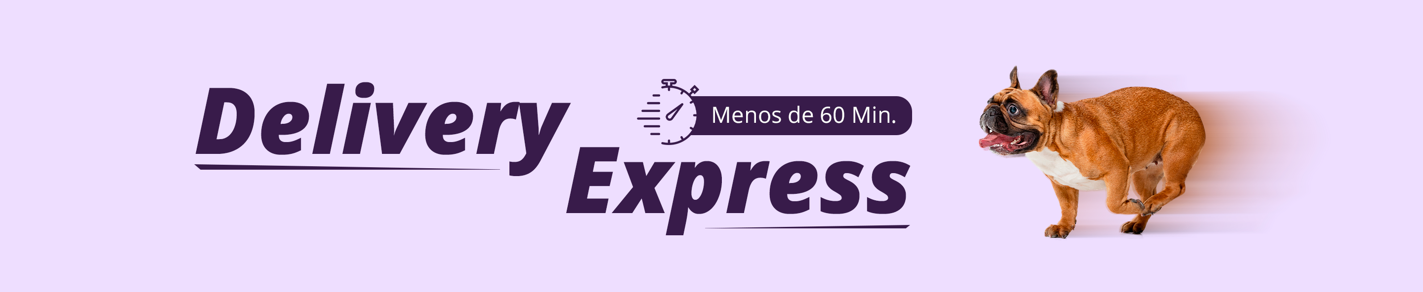 Alimentos de Mascotas, Accesorios, Juguetes, Medicamentos y más | EnvíosPet