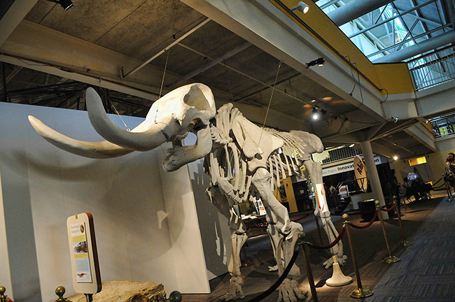 Mid-America Science Museum - Encyclopedia of Arkansas