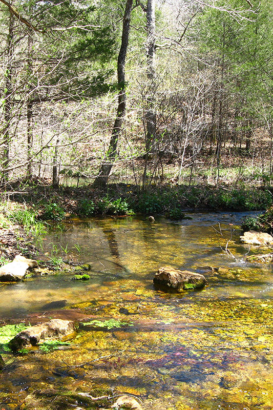 Rock Creek Natural Area - Encyclopedia of Arkansas