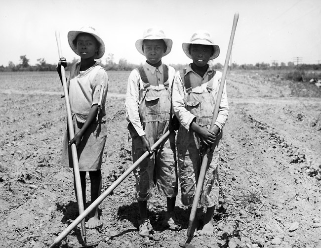 Marked Tree: Chopping Cotton - Encyclopedia of Arkansas