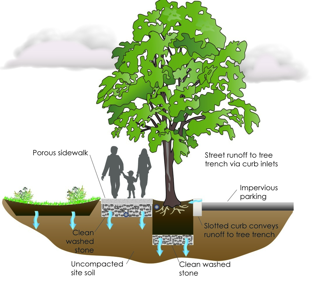 What is Green Infrastructure? | Epstein