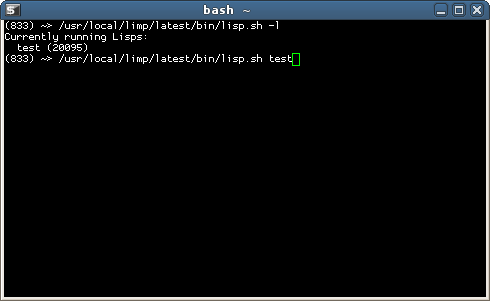 Limp: When You Need More Than Just A Lisp