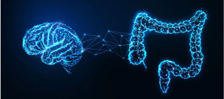 MailExpress | preview html