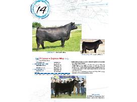 Express Ranches | Powered By GiveSmart