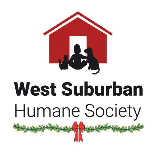 WSHS Pics with Santa | Powered By GiveSmart