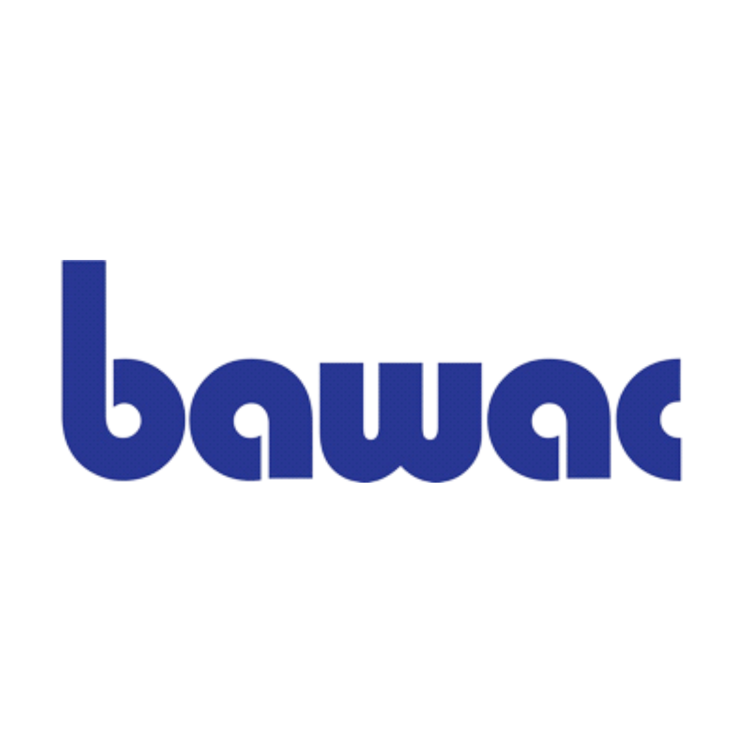 BAWAC at the Ball Park | Powered By GiveSmart