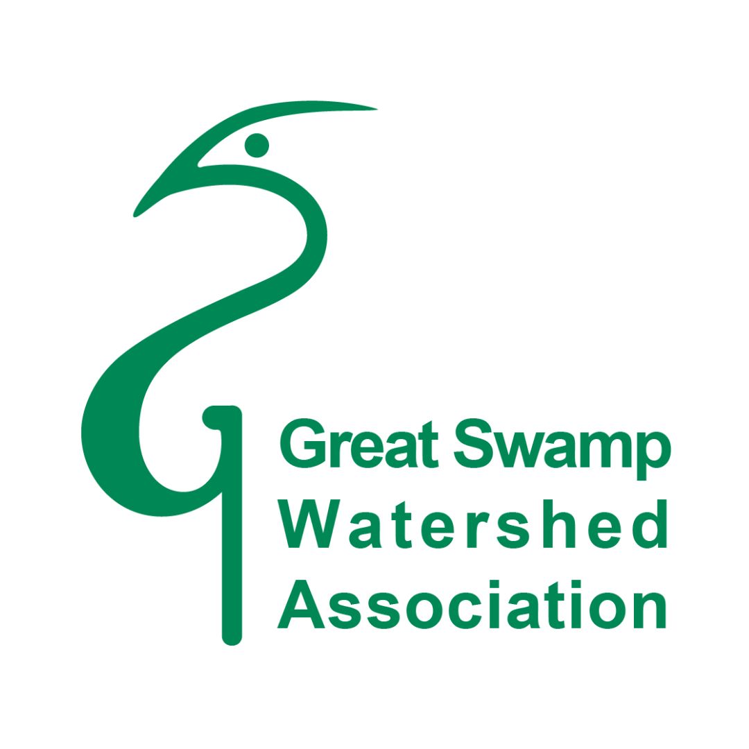 2024 GSWA Gala | Powered By GiveSmart
