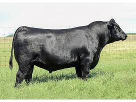 4 Sons Farm | Powered By GiveSmart