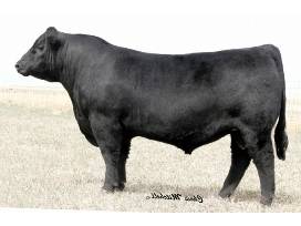 4 Sons Farm | Powered By GiveSmart