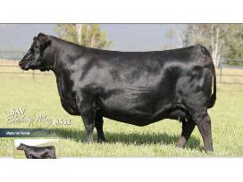 Rust Spring Thaw | Powered By GiveSmart