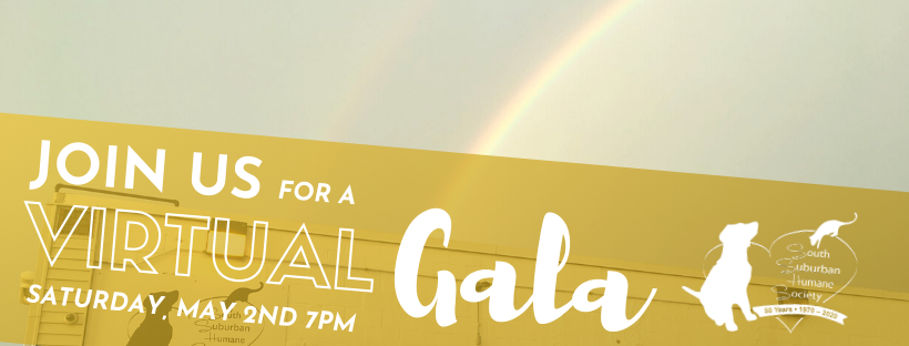 Virtual Gala | Powered By GiveSmart