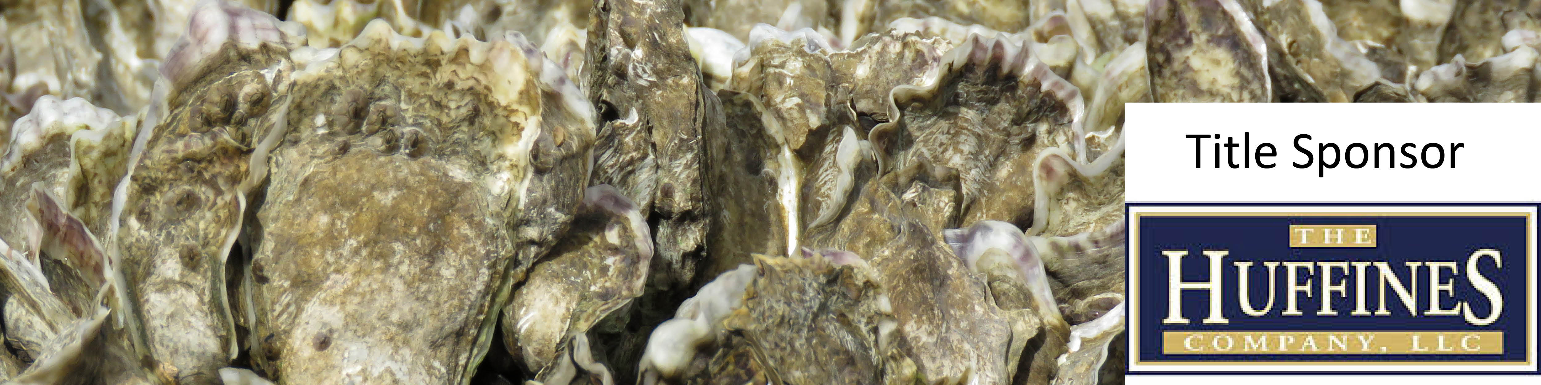 Virtual Shellabration | Powered By GiveSmart