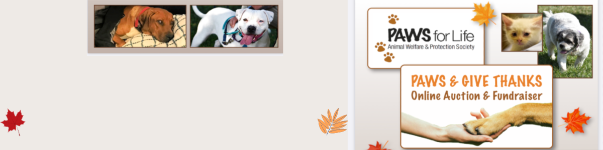 PAWS & Give Thanks | Powered By GiveSmart