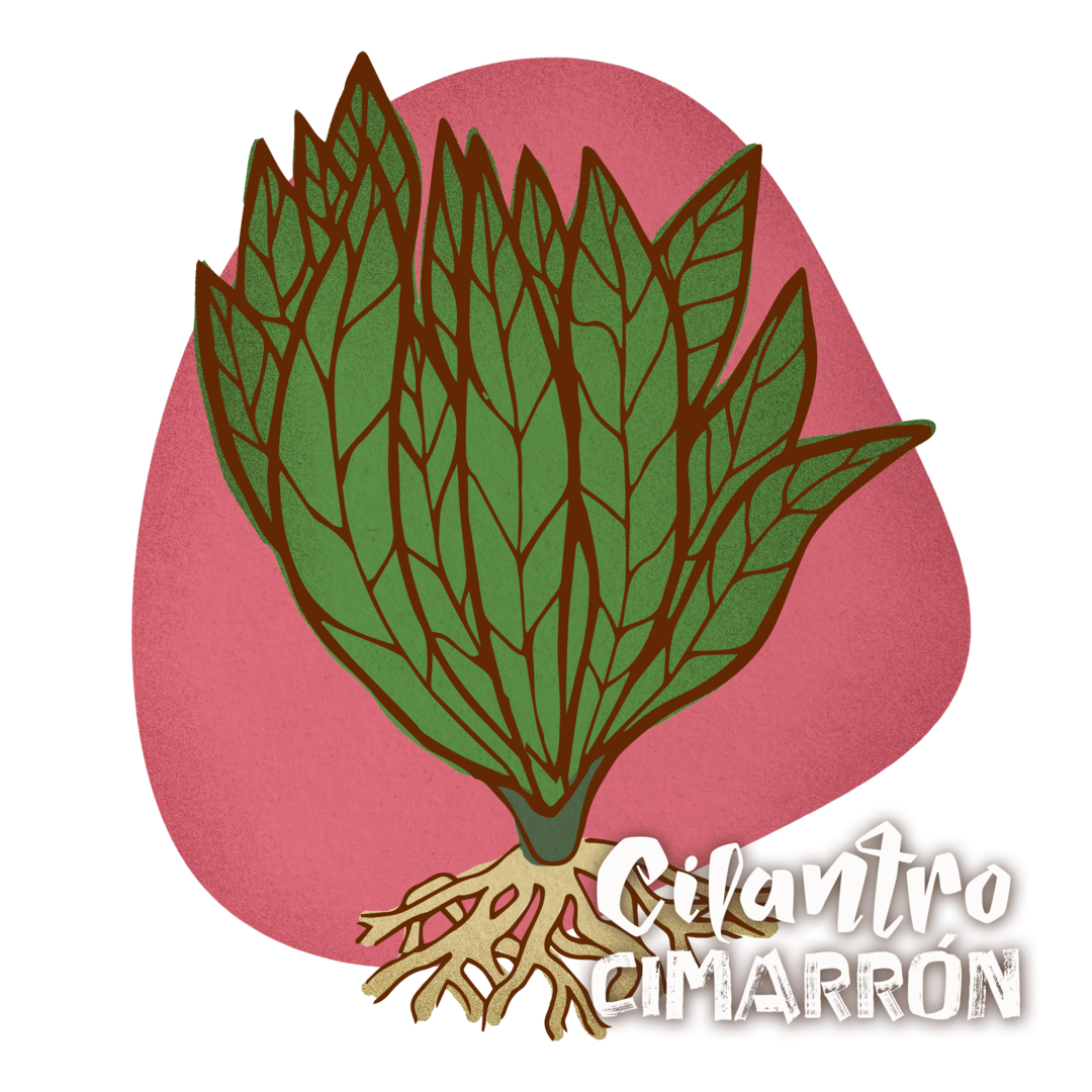 Cocinas del Pacífico Afrocolombiano