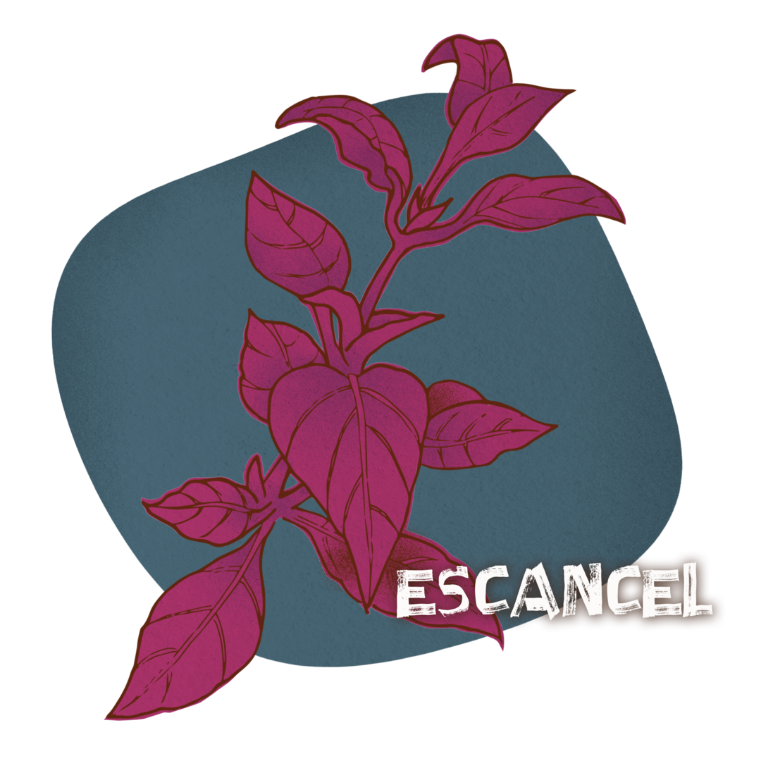 Cocinas del Pacífico Afrocolombiano