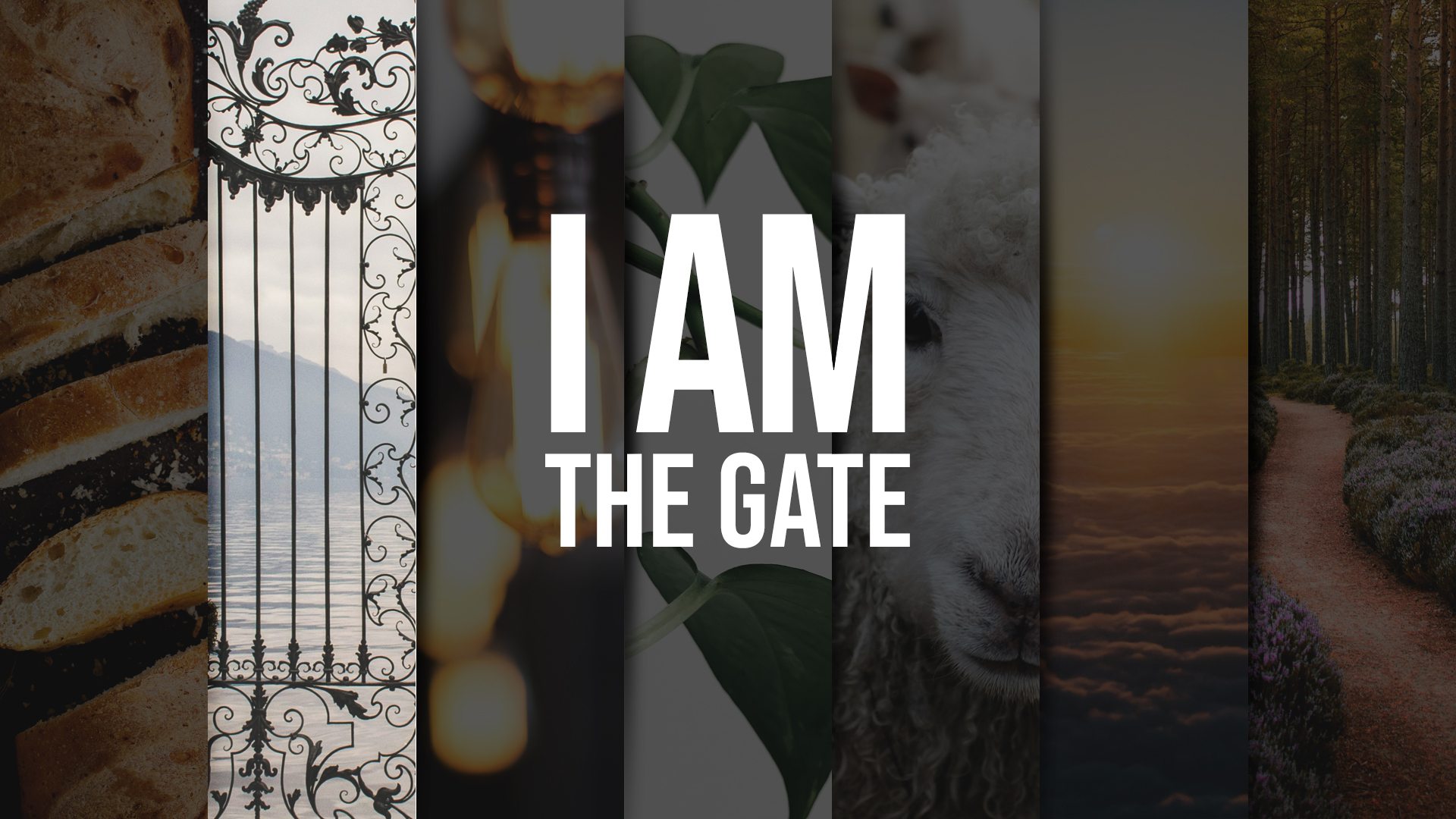 I AM, Part 3 - Gate | Evergreen Community Church
