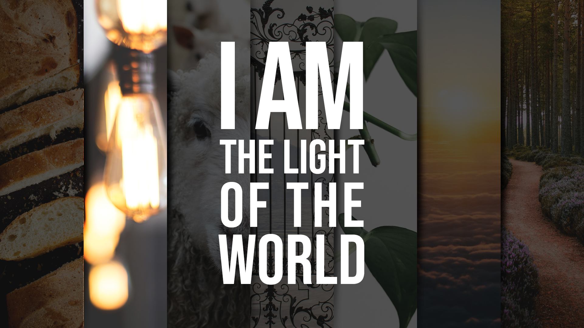 I AM, Part 2 - Light | Evergreen Community Church