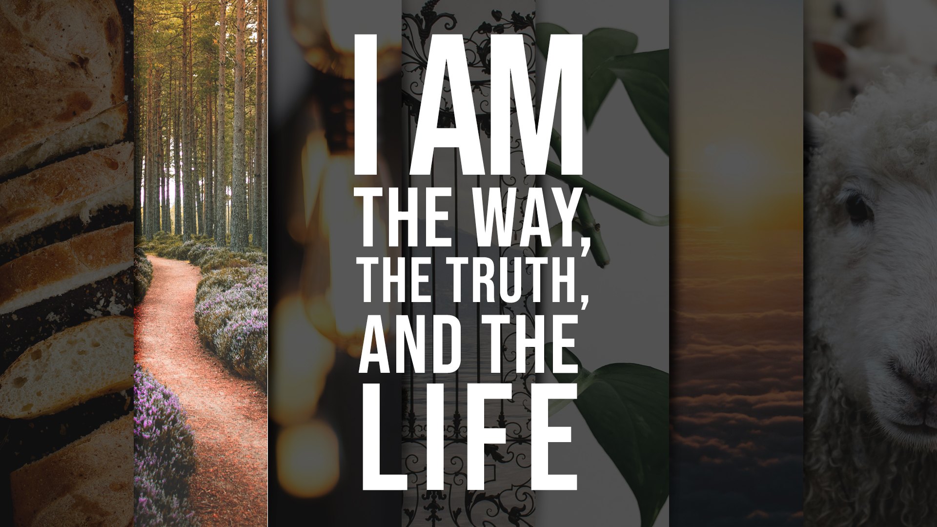 I AM, Part 5 - The Way, the Truth & the Life | Evergreen Community Church
