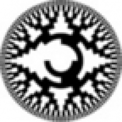 Graydon Hoare | Wiki & Bio | Everipedia