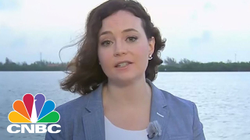 Meg Tirrell | Wiki & Bio | Everipedia