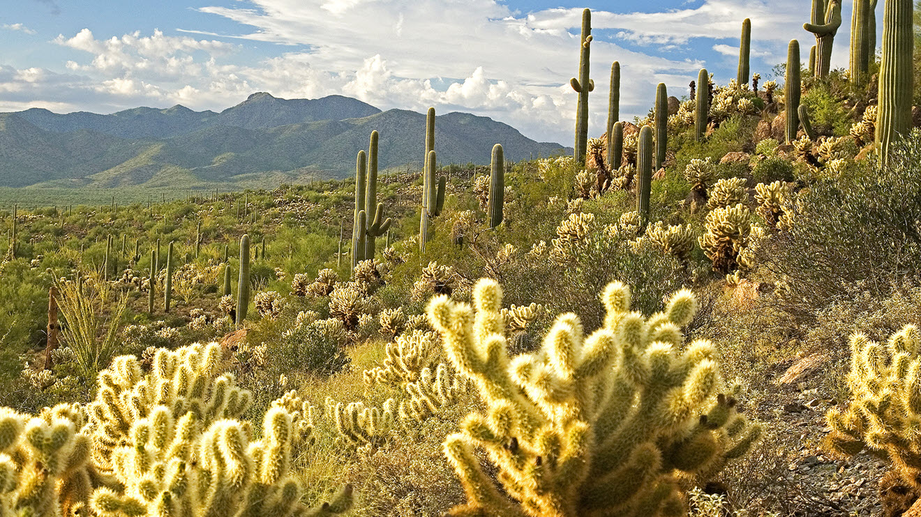 Visit Tucson | Expedia