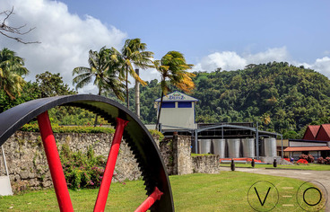Find Depaz distillery Martinique thanks to VillaVEO