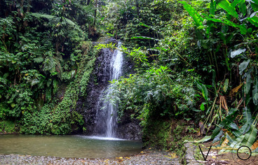 Find Saut du Gendarme Waterfall Martinique thanks to VillaVEO
