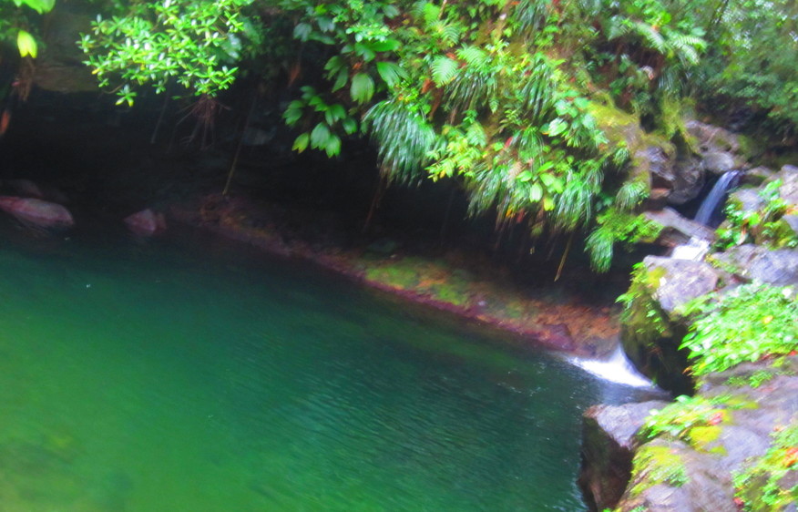 Retrouvez Bassin Paradise - Capesterre-Belle-Eau Guadeloupe grâce à ...
