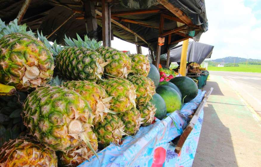Retrouvez Le rond point des fruits Martinique grâce à VillaVEO