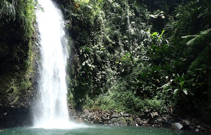 Retrouvez Les cascades Didier Martinique grâce à VillaVEO